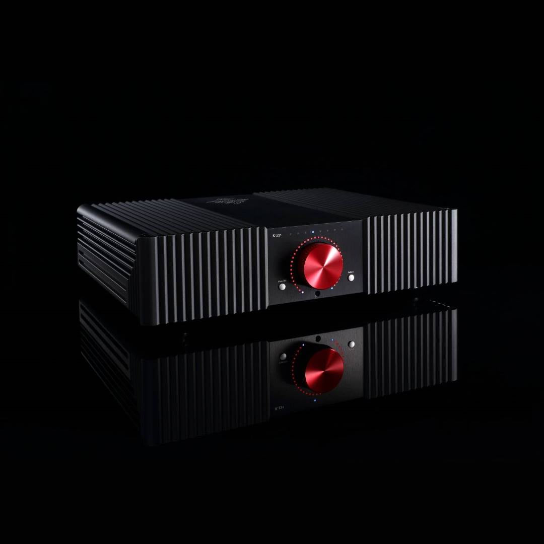 DA&T K221 BTL Class-D Integrated Amplifier - Pifferia Global